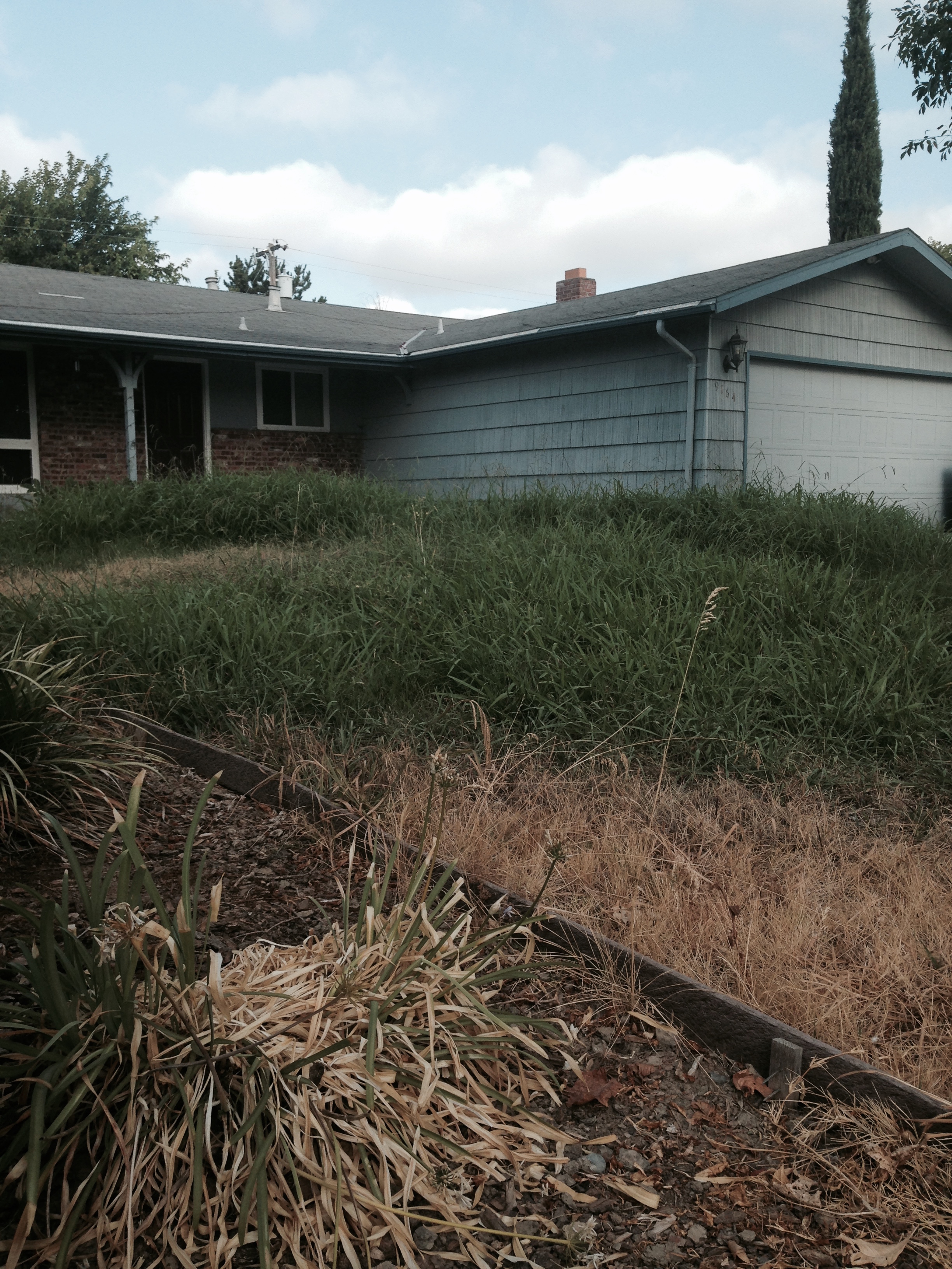 weedy house - Rosemont Community Association